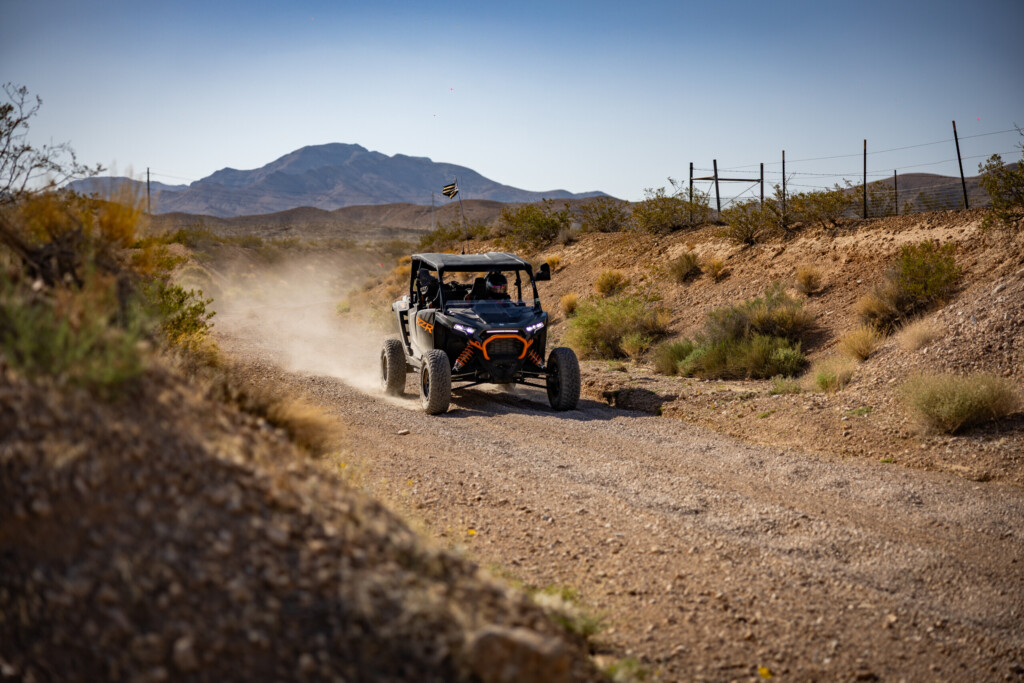 Top 7 Desert Wildlife Signs You Should Know Before Adventure